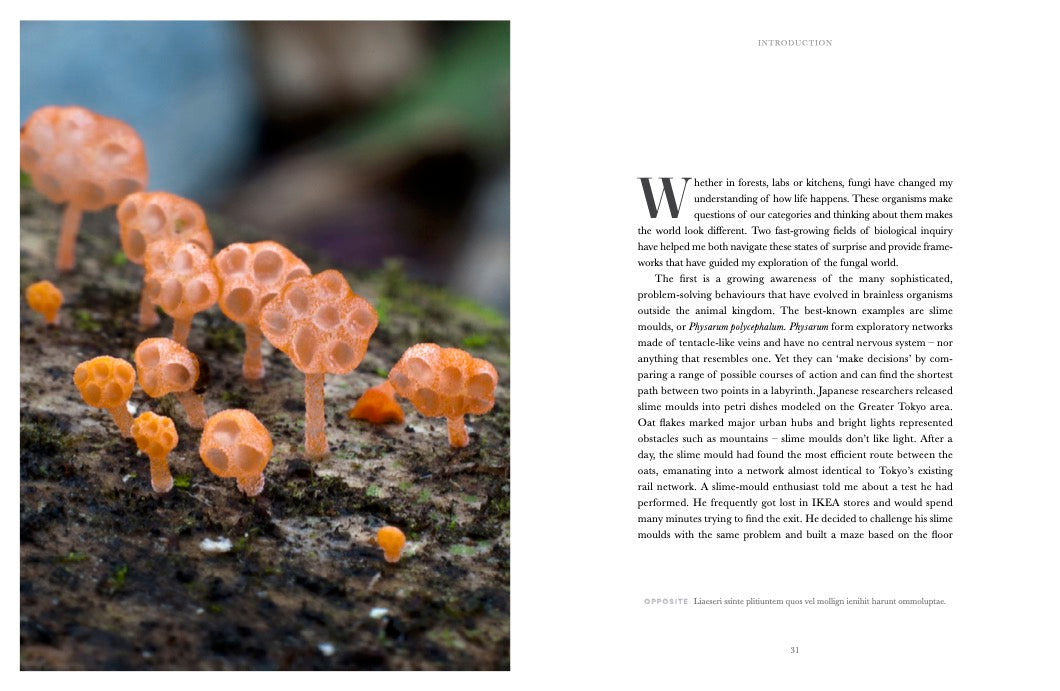 Entangled Life: The Illustrated Edition